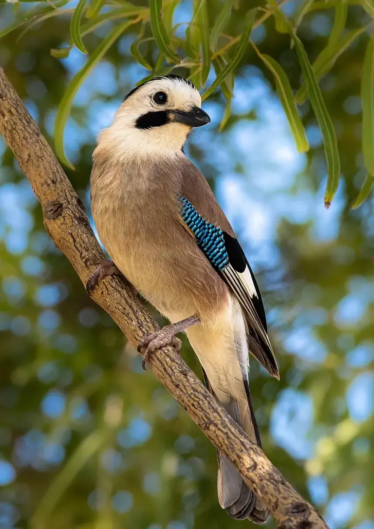 10 books every American should read before they die