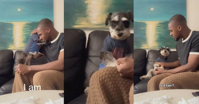Dog listens to 'dramatic dad' intently in funny video