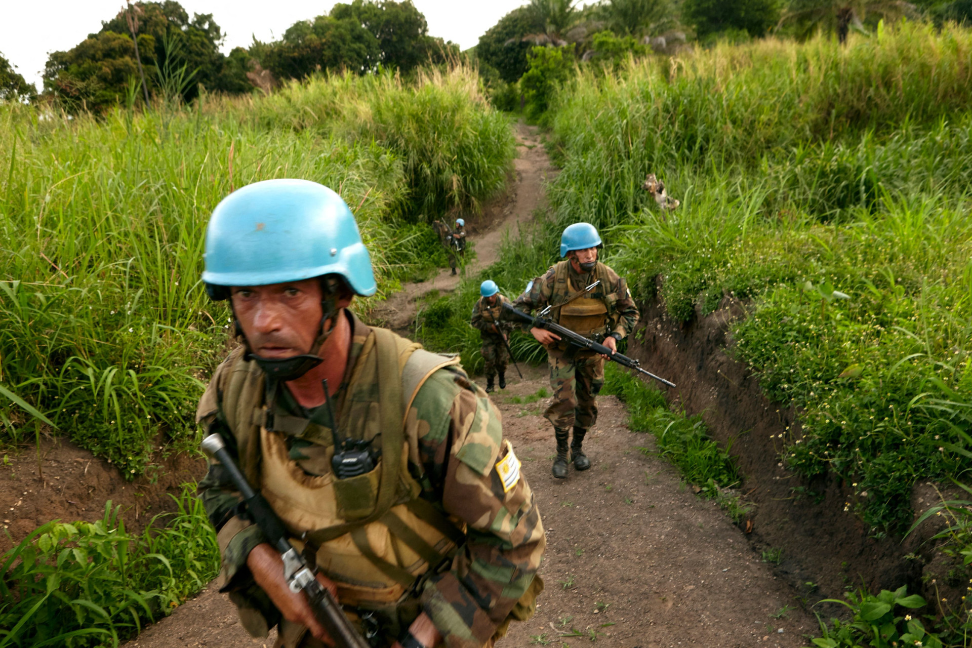 On the front lines: those who risk everything for global peace