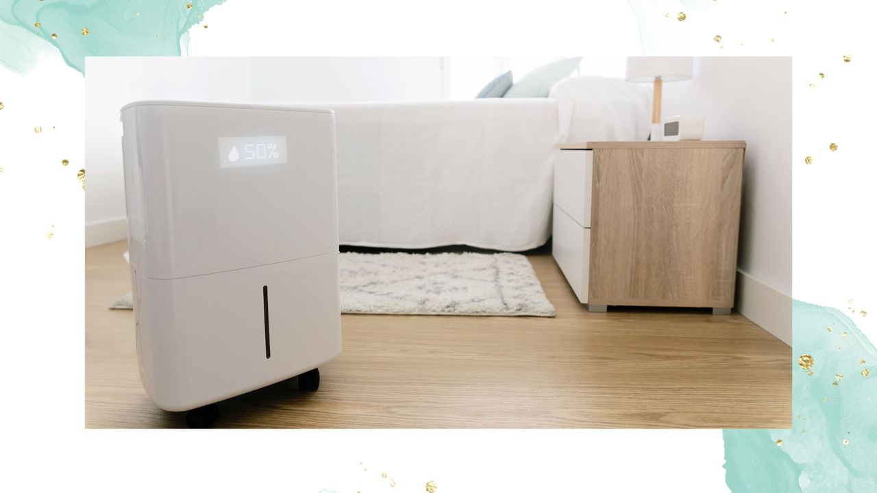 Experts reveal the surprising reason you need a dehumidifier in your ...