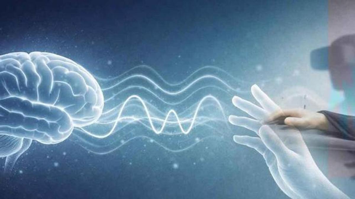 Un estudio del Instituto Karolinska revela cómo las ondas alfa definen ...