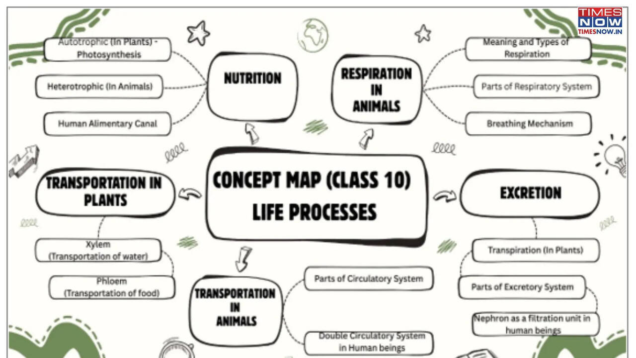 CBSE class 10 science [biology] 2026: Life processes simplified