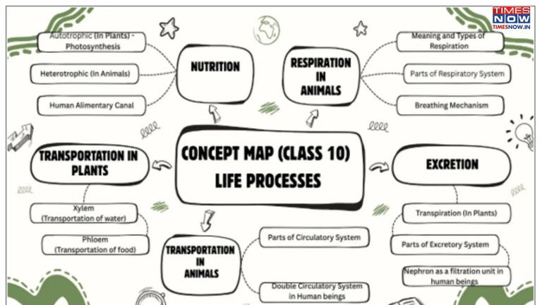 CBSE class 10 science [biology] 2026: Life processes simplified