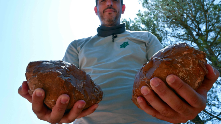 Perfectly preserved dino egg uncovered—70M years of history rewritten