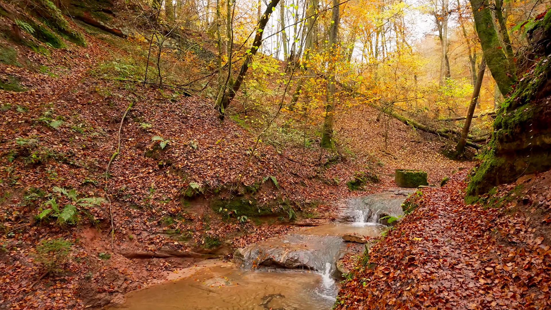 Cachoeira Sirzenicher em Trier: Caminhada de outono na natureza (4K)