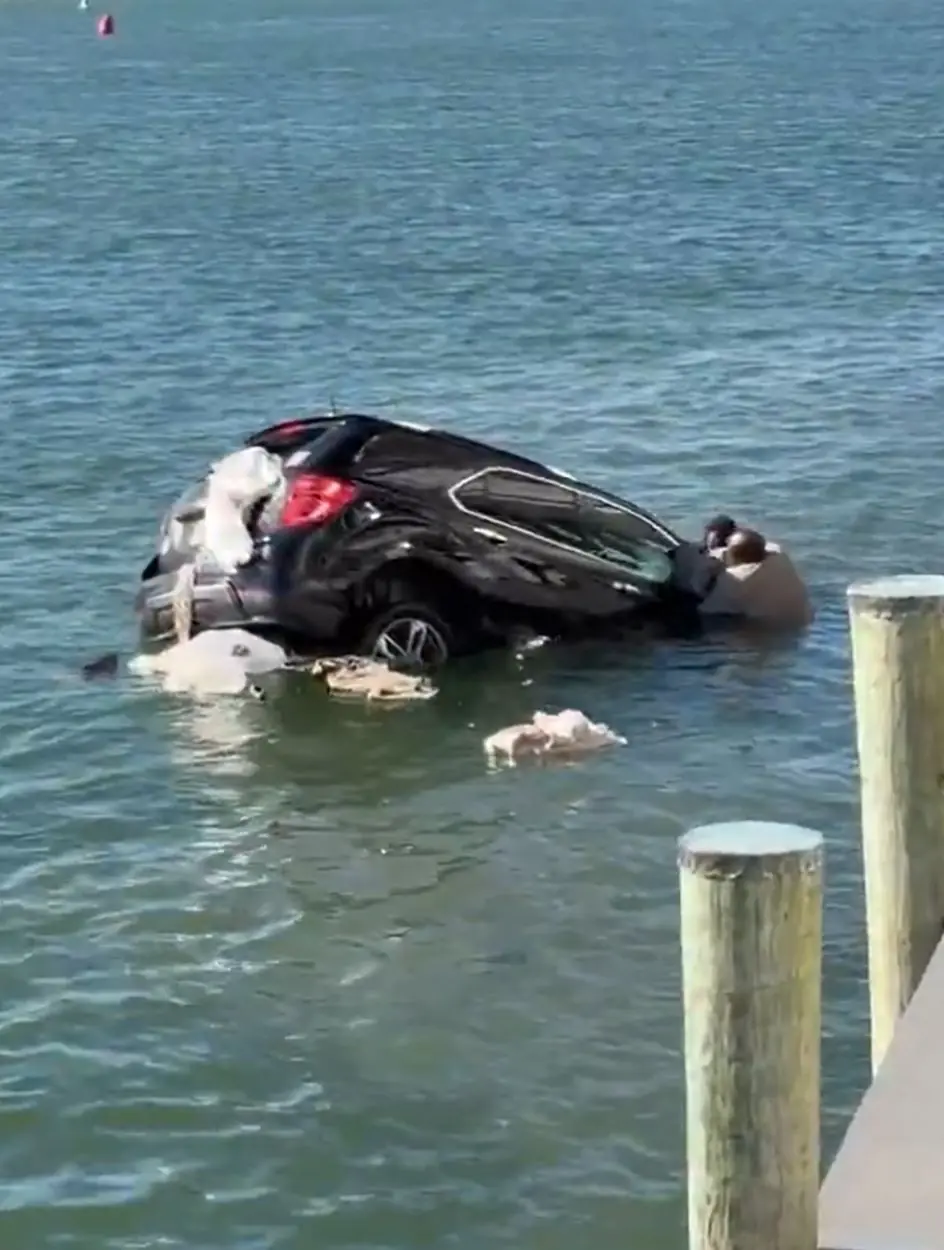 Bystanders de ação rápida resgatam motorista presa em SUV que afundava ...