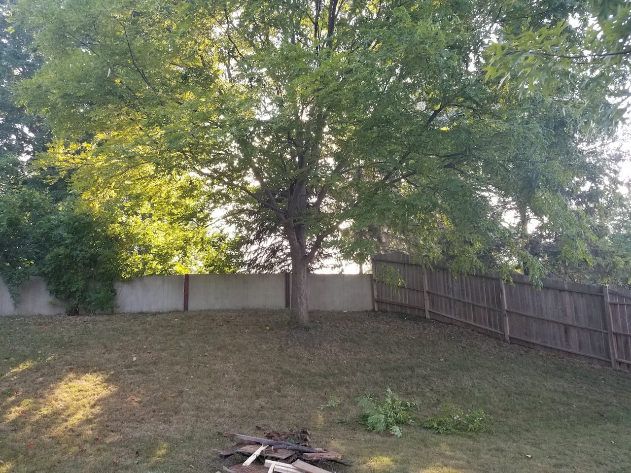 More than 50 dump truck loads of dirt were removed from his yard. Now ...