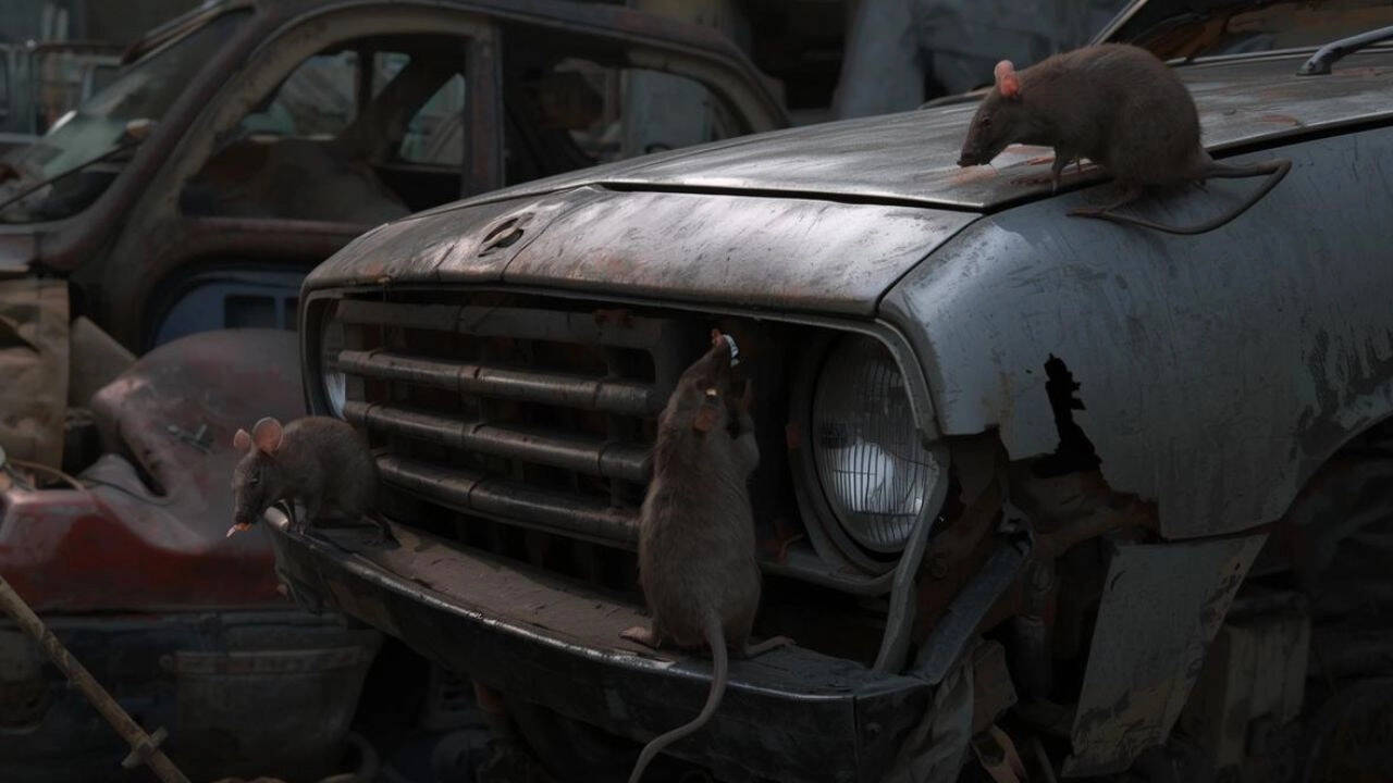 Car protection 101: How to keep rats away from your car and avoid ...