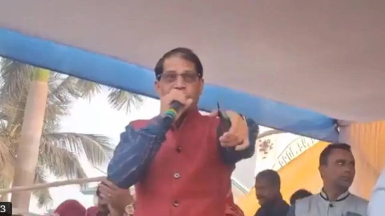 'Will Hunt Down From Beneath Earth': Trinamool MLA's SIR Warning To ...