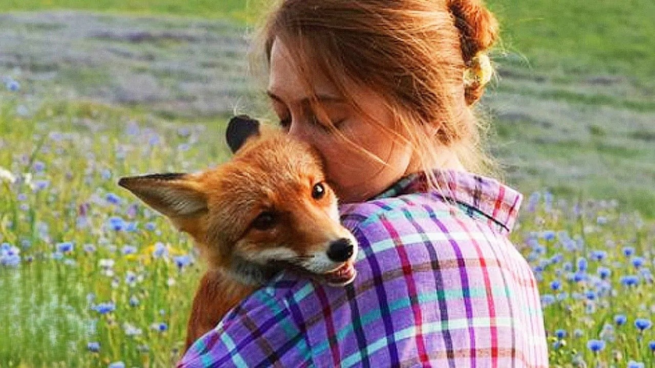 A girl found a wounded baby fox - now he’s her best friend