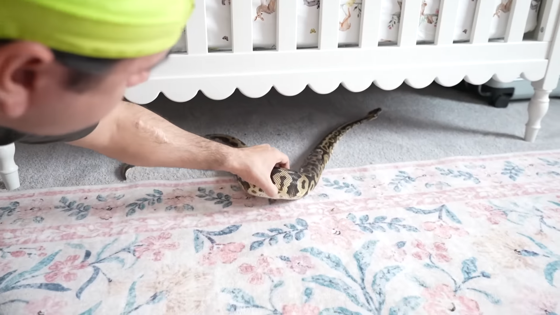 We found a snake under our baby's crib... what happened next shocked us