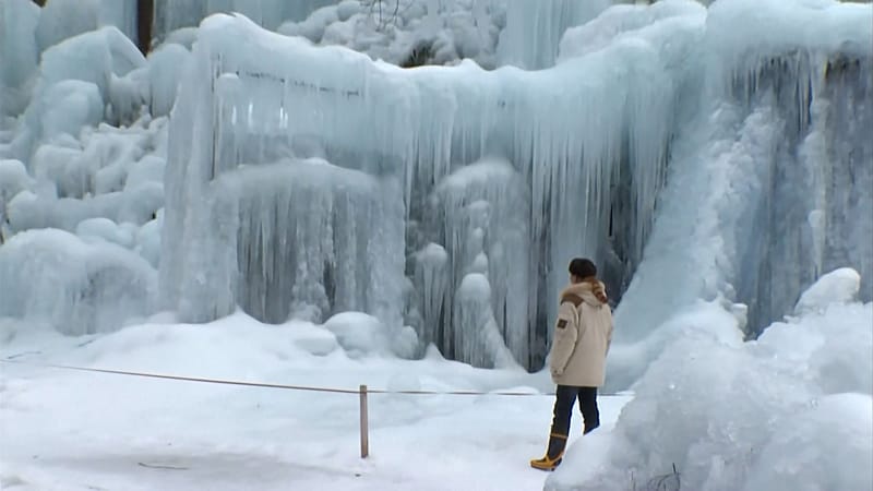 Foresta di ghiaccio in una locanda di montagna a Takayama ("Subzero ...