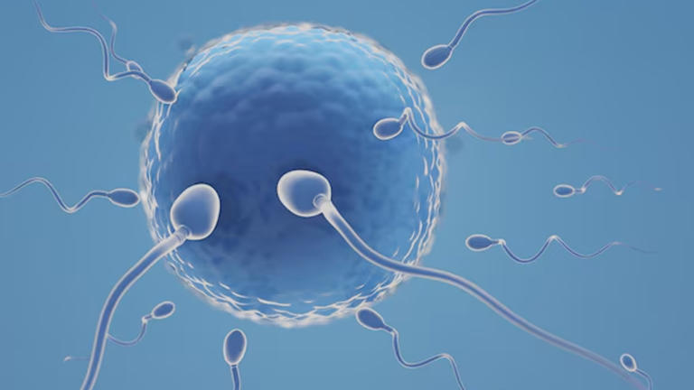 Can you freeze your eggs if you have fibroids? A fertility specialist ...