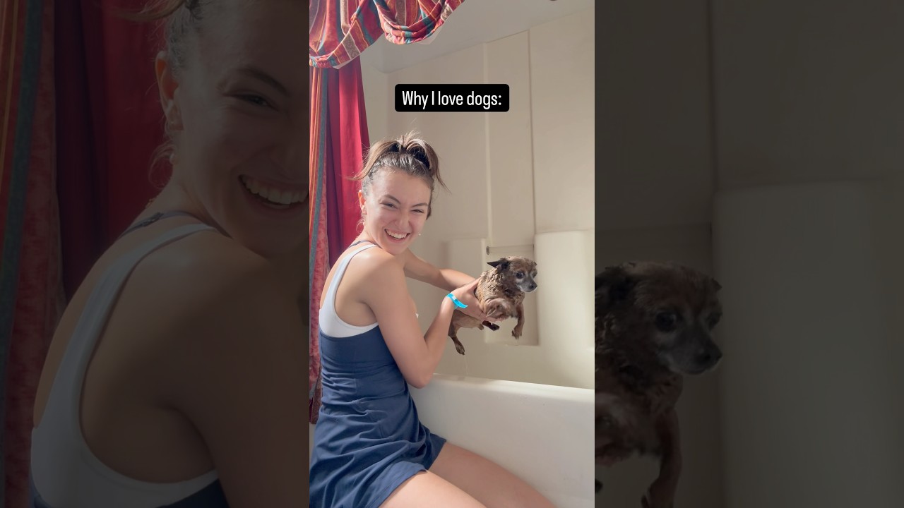 Little puppy paddles in cute animal moment