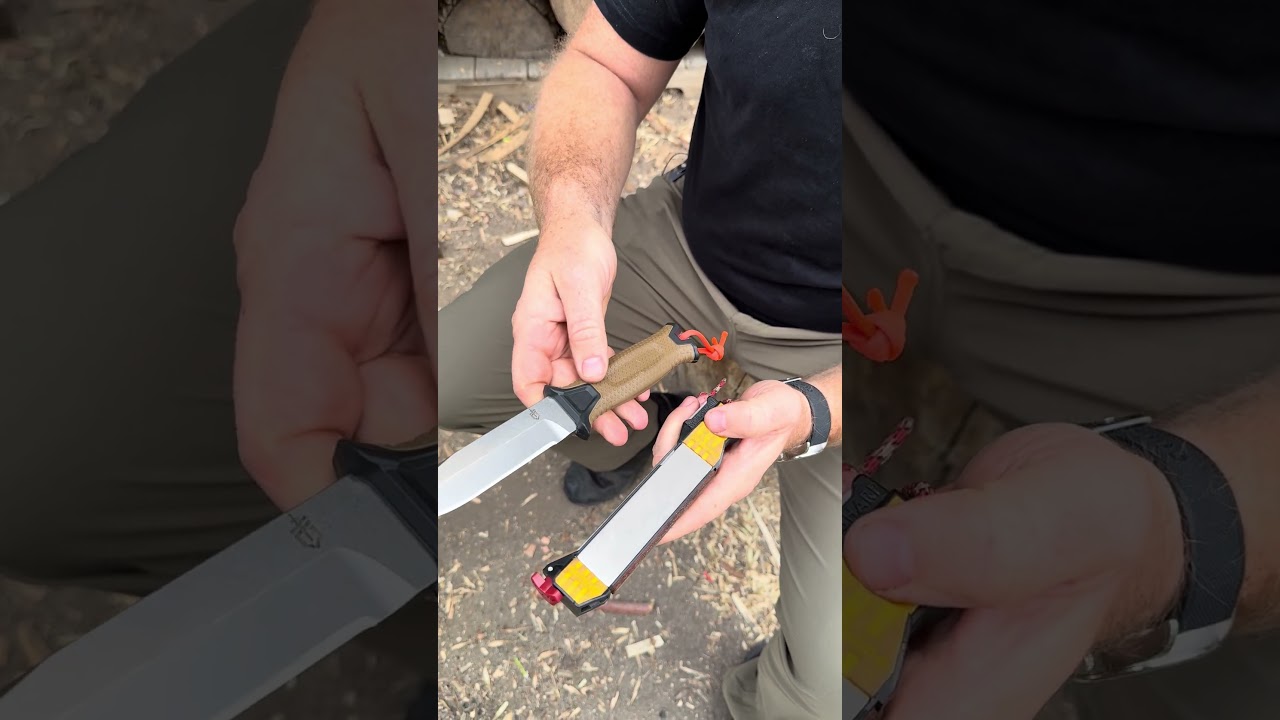 Why this knife sharpener is my secret weapon!