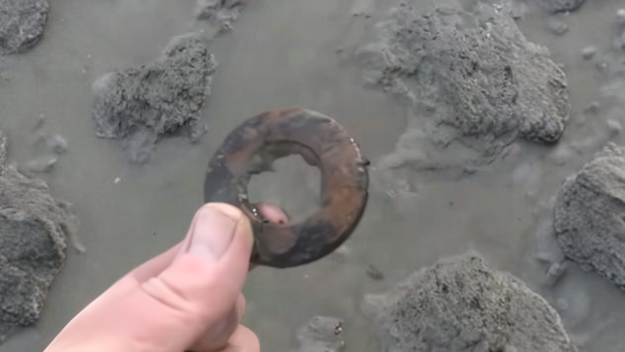 I found an unusual medallion while mudlarking!