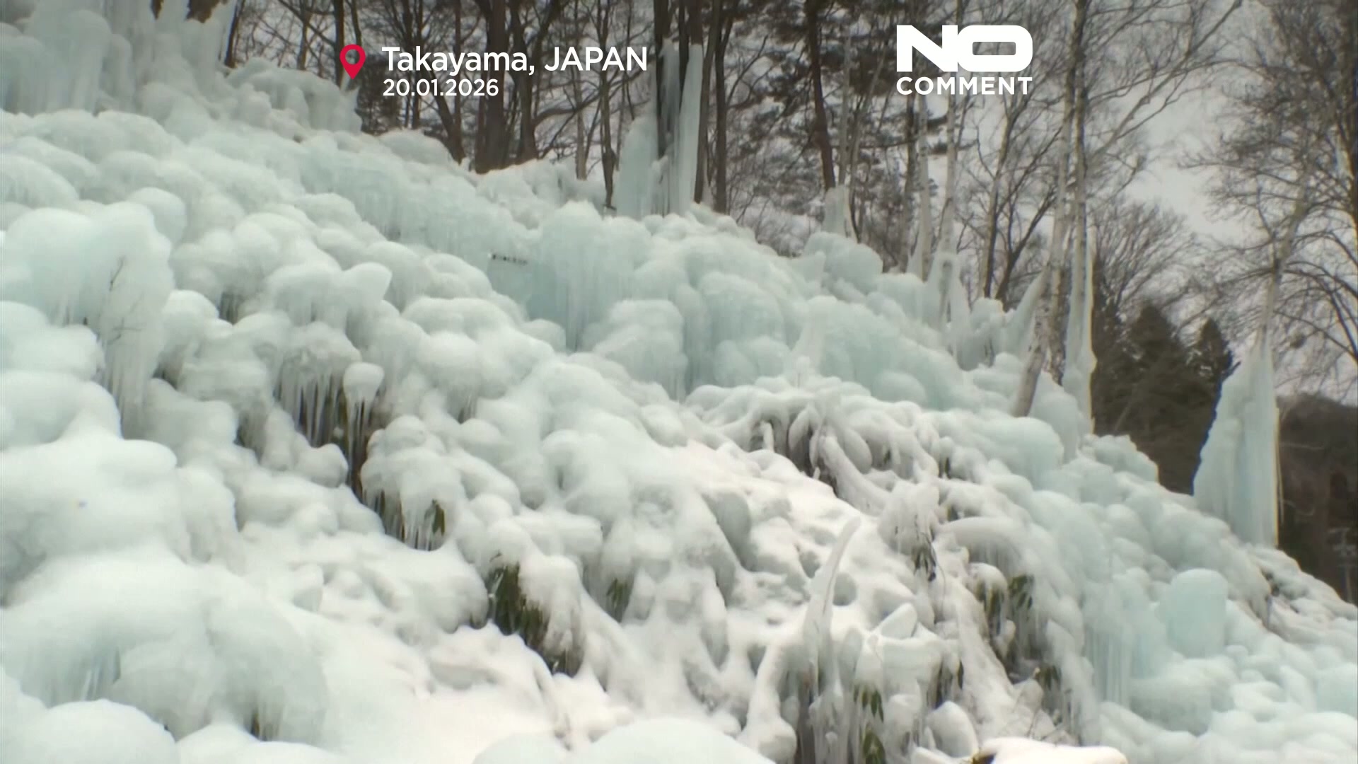 Subzero forest: Ice forest created at mountain inn in Takayama