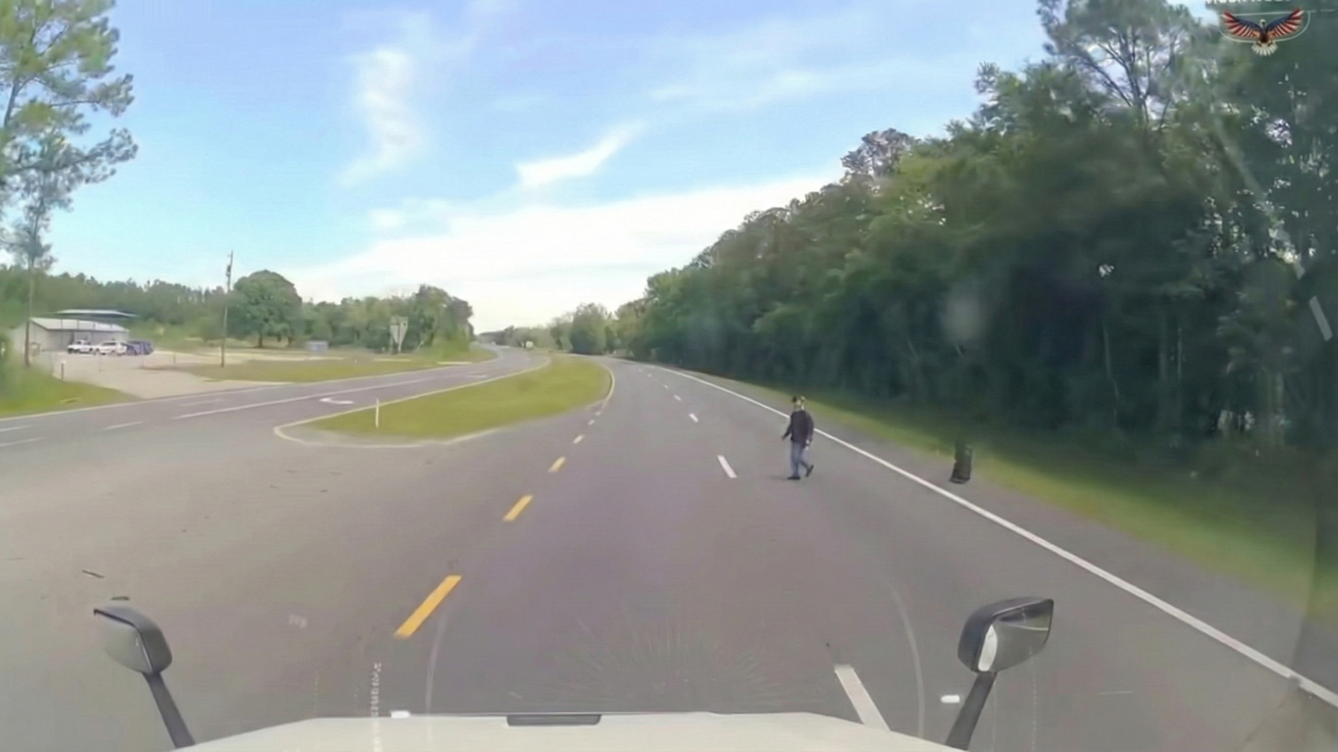 Woman ran in front of a moving truck and everything stopped