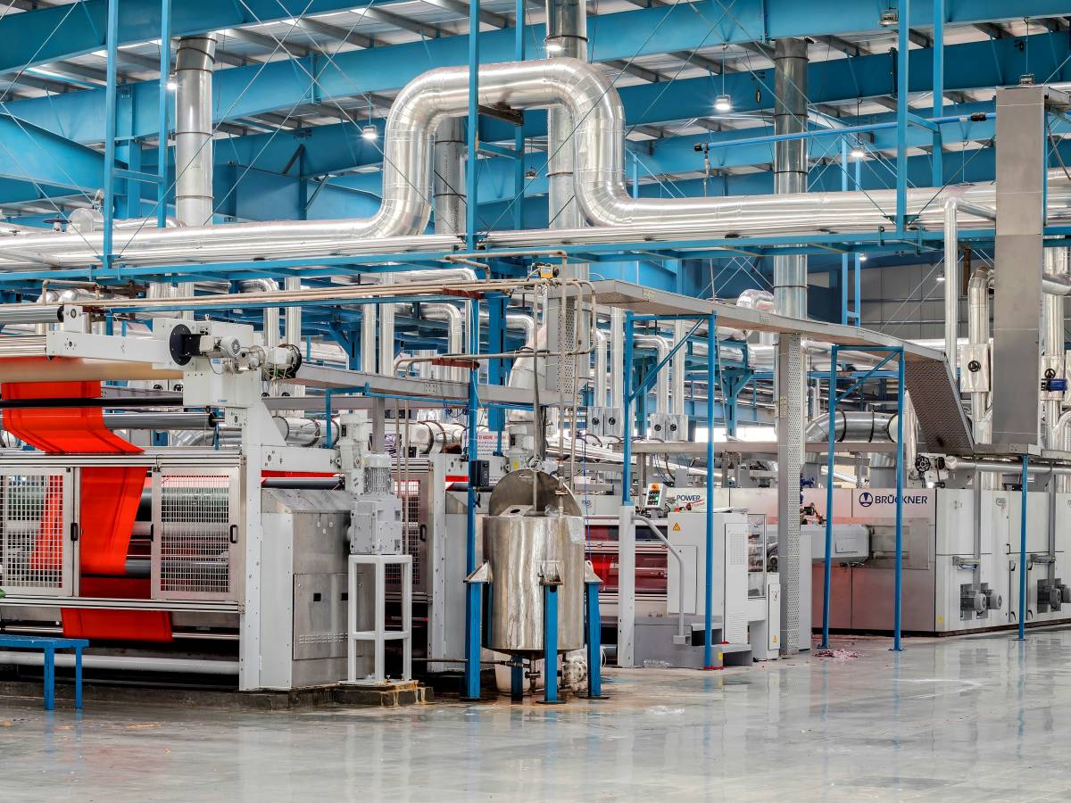 Come in Squid Game, questionario choc in azienda: "Quale collega ...