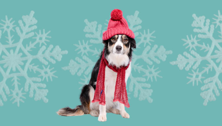 Common cold weather myths debunked