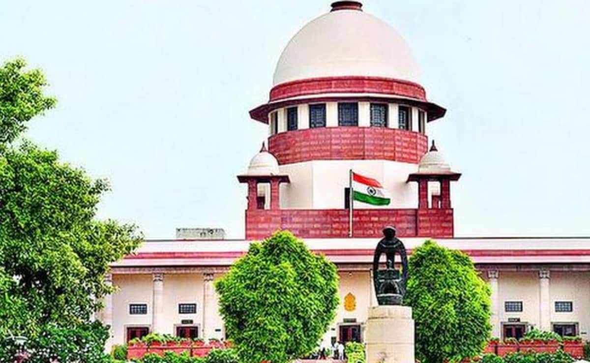 Can poll body exercise its powers like 'unruly horse?' Supreme Court on SIR