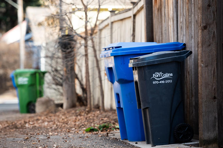Is it legal to put your trash in someone else's can, dumpster in Florida?