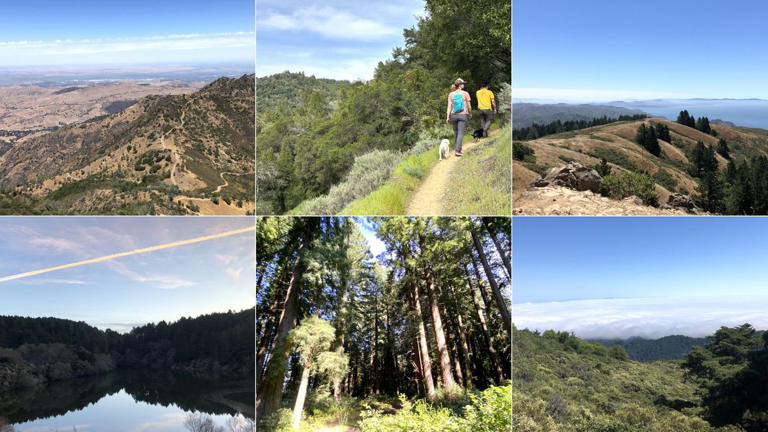 Your ultimate 2026 Bay Area outdoor bucket list challenge