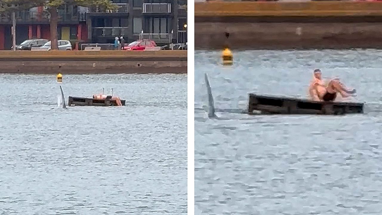 Unas ballenas curiosas despiertan a un hombre que dormía en una plataforma