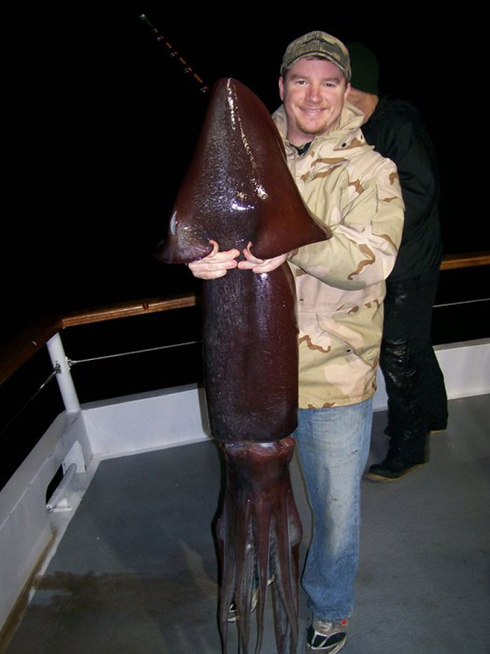 Someone asks what’s the scariest thing in the ocean that has photo ...