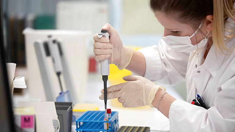 Promising vaccine for aggressive melanoma could unlock the body’s ...