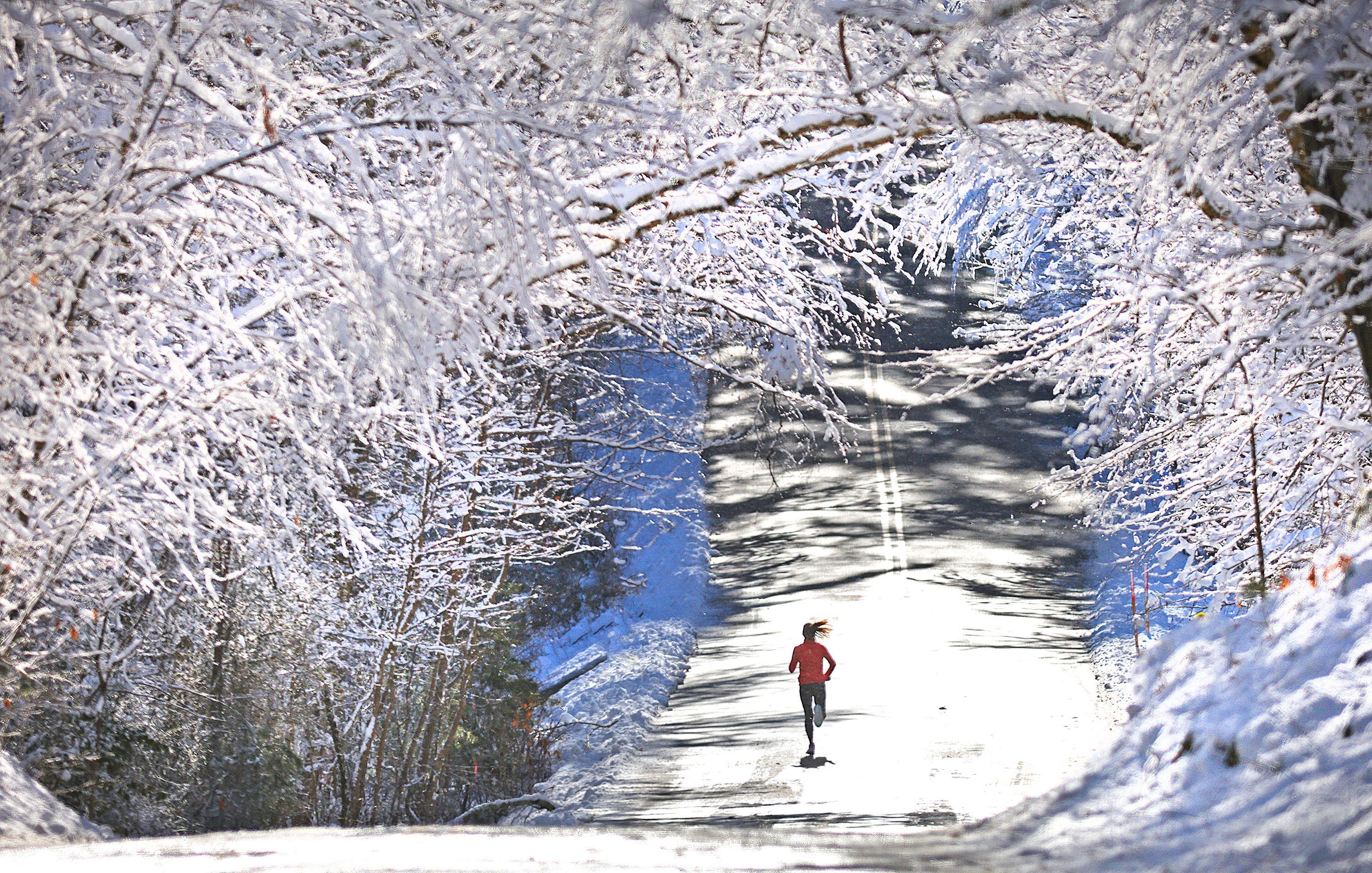 What is the polar vortex? The phenomenon behind the cold weather headed ...