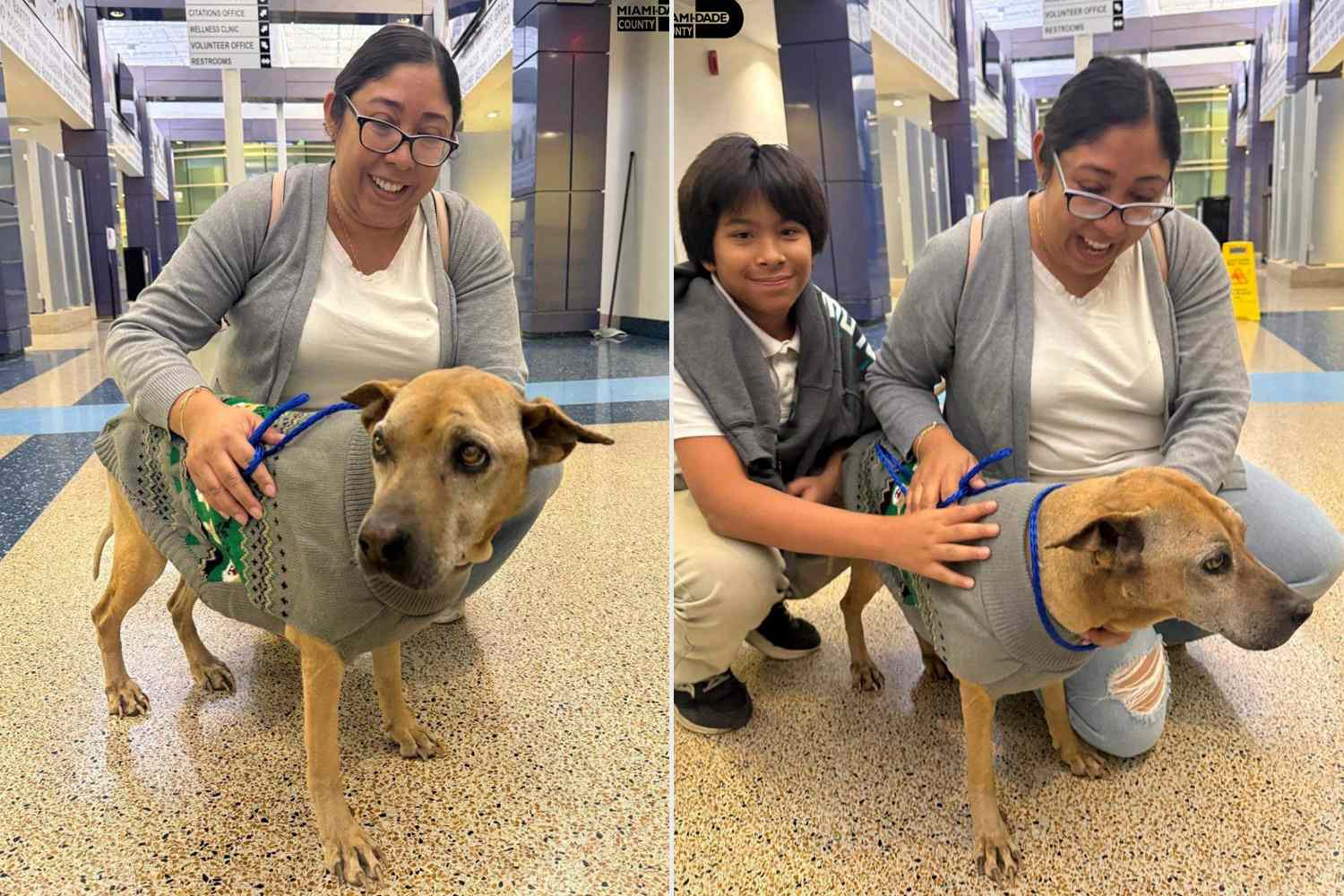 15-year-old dog missing for over 10 years reunited with owner in ...