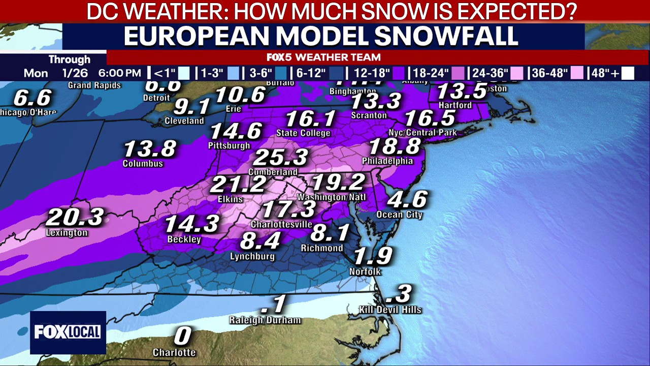DC weather: How much snow is expected?