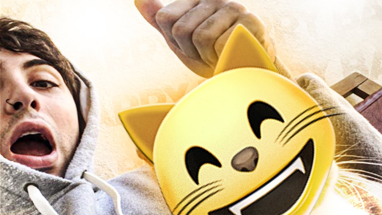 ¡Conociendo a Barry! Mi experiencia adoptando un gatito y su primer día ...