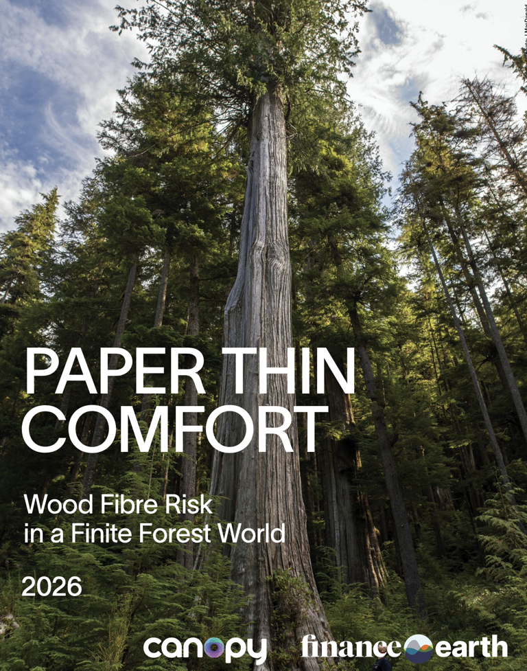 Canopy outlines $2 billion blueprint for decarbonization in India