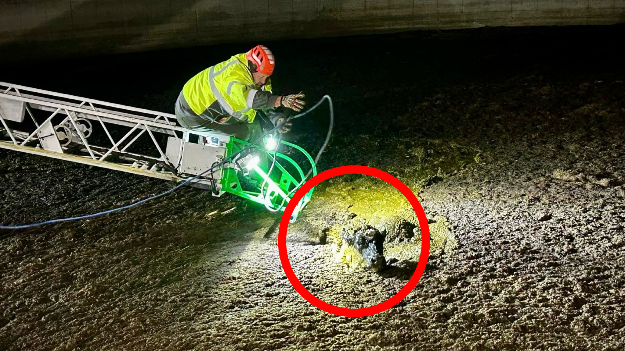 Crews rescue cow trapped in manure pit in freezing temperatures