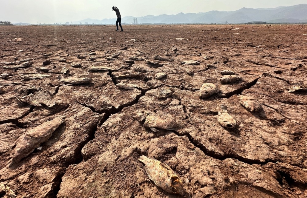 Looming water 'bankruptcy' puts billions at risk – UN report