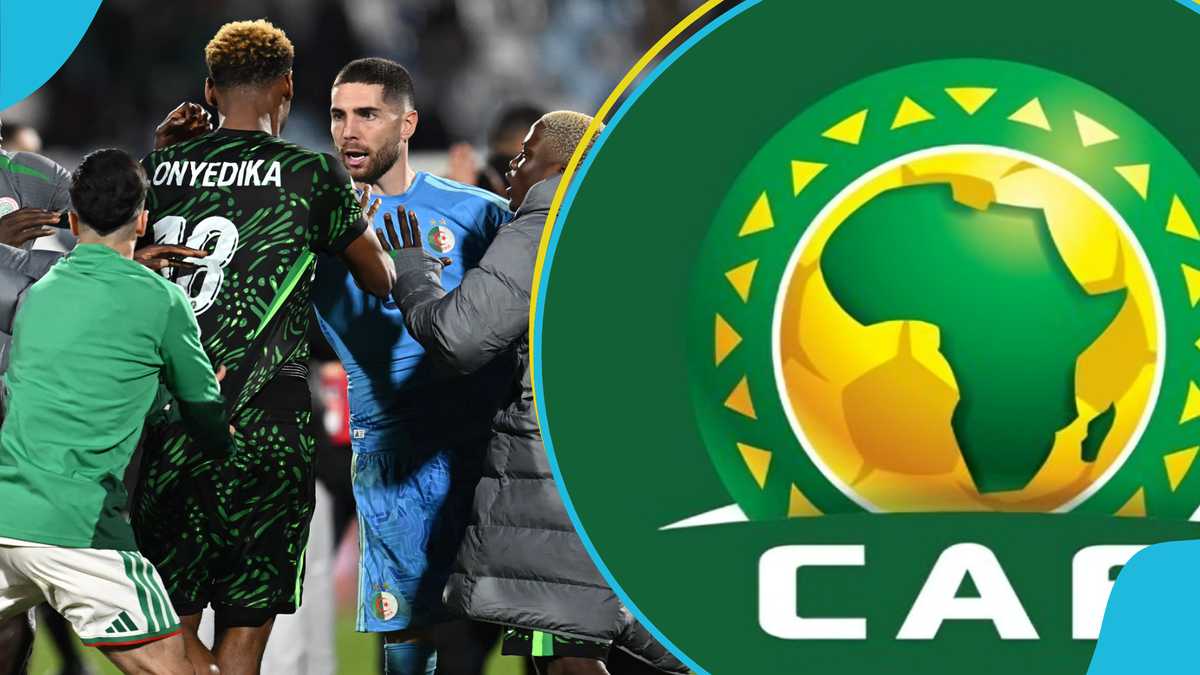 AFCON 2025: CAF hands Luca Zidane suspension, fines Algeria after ...