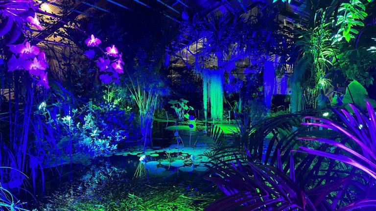 Thüringer Großstädte geben exklusive Insidertipps für 2026