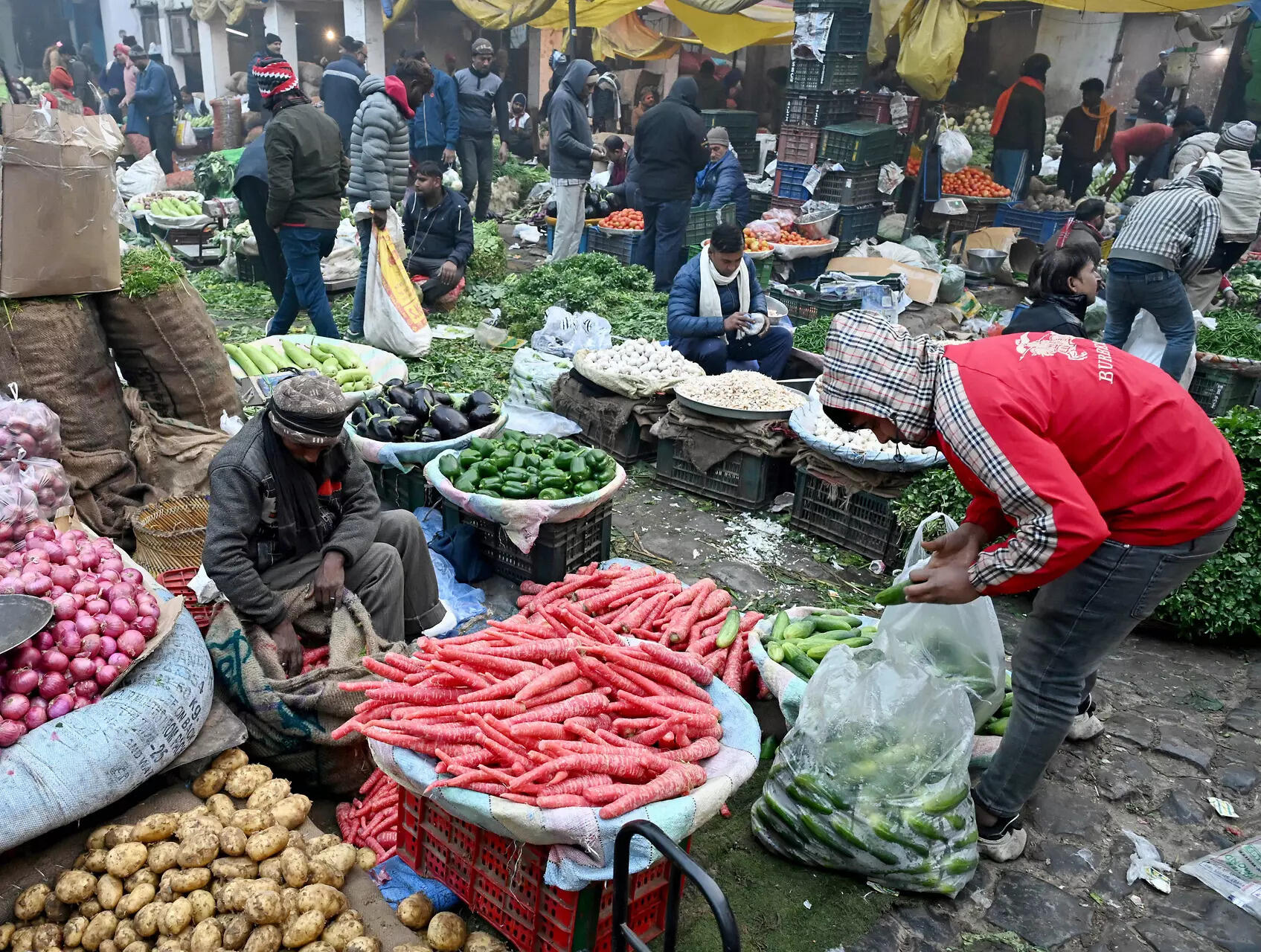 Delhi govt plans wholesale fruit, vegetable market in Tikri; move to ...