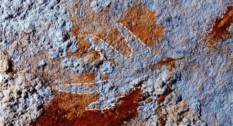 Oldest cave painting of red claw hand could rewrite human creativity ...