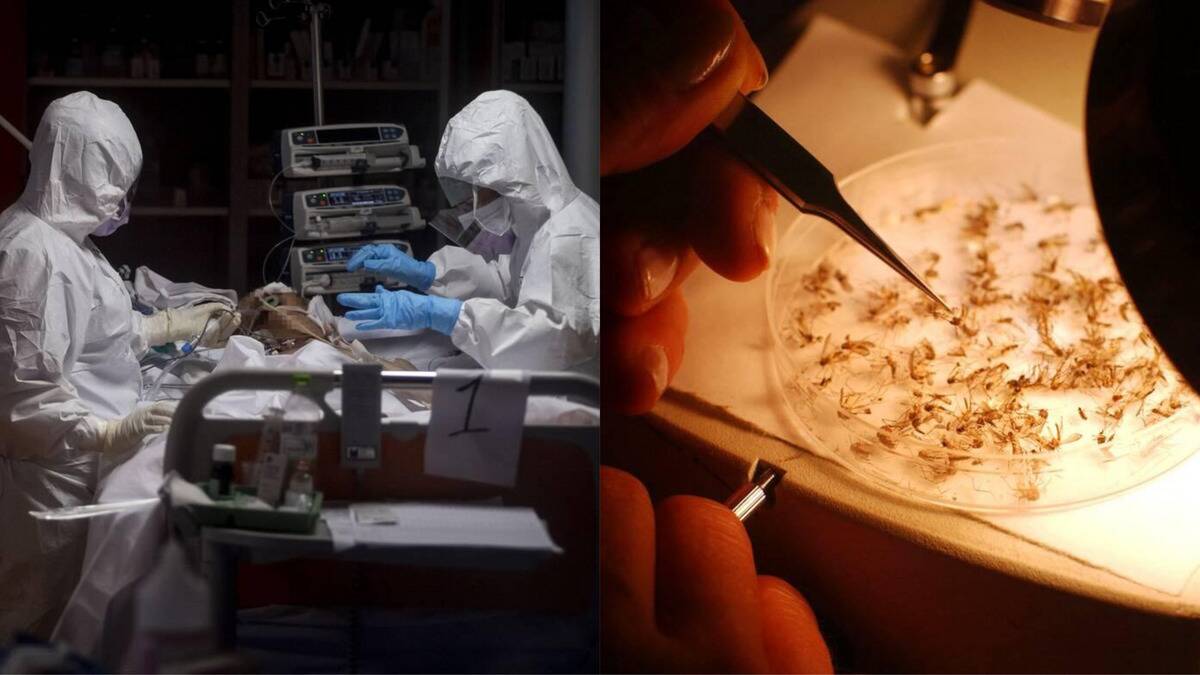 How viruses evolve and jump between species
