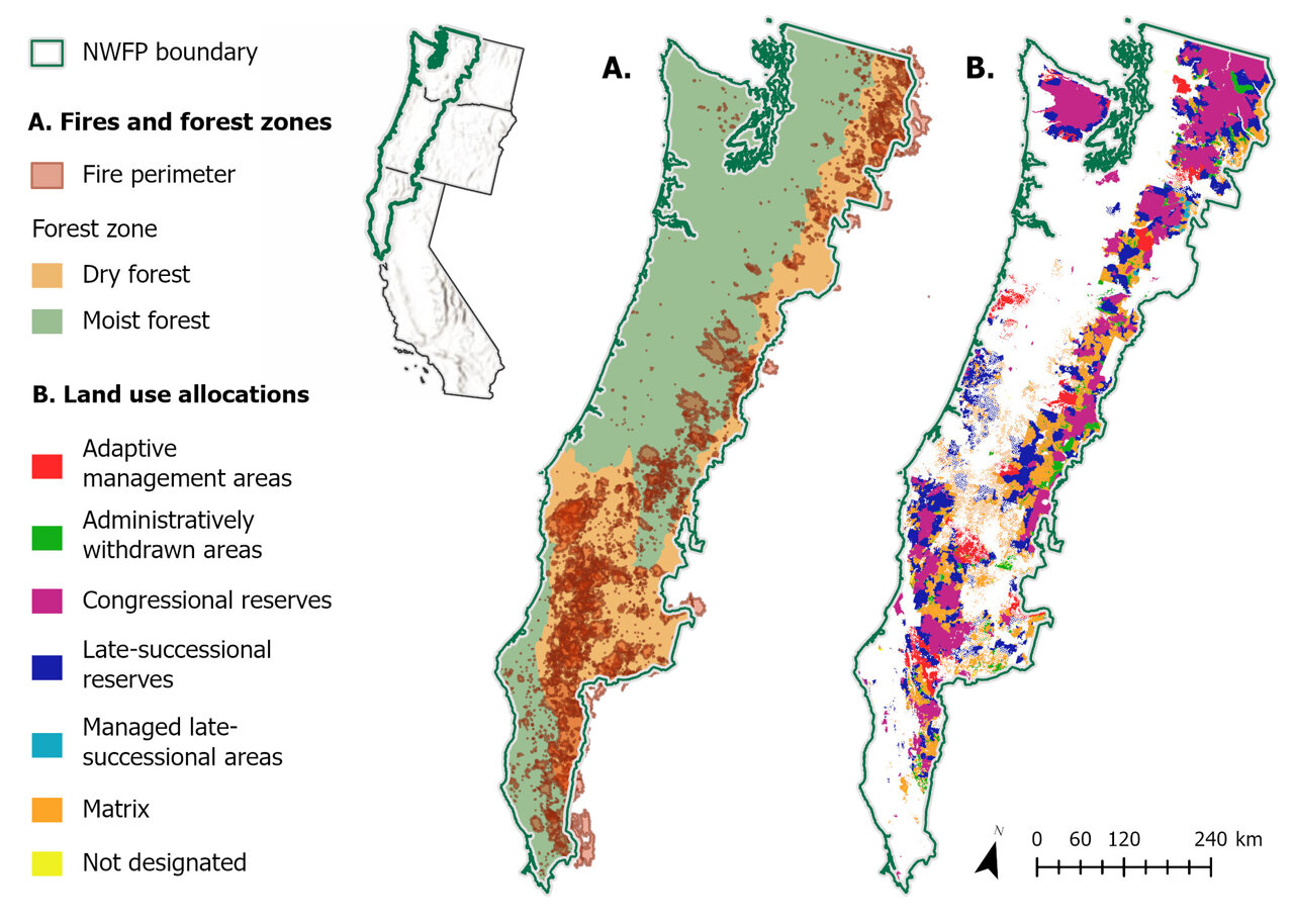 Q&A: Wildfire in protected Northwest forests highlights need for ...