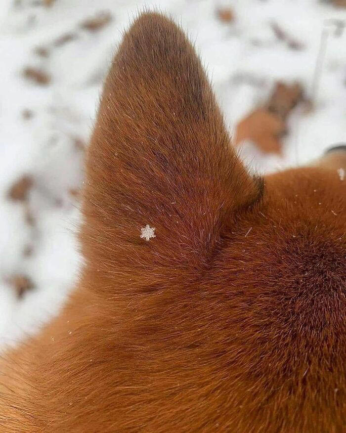 45 random images that are too weird to ignore, as shared on this ...