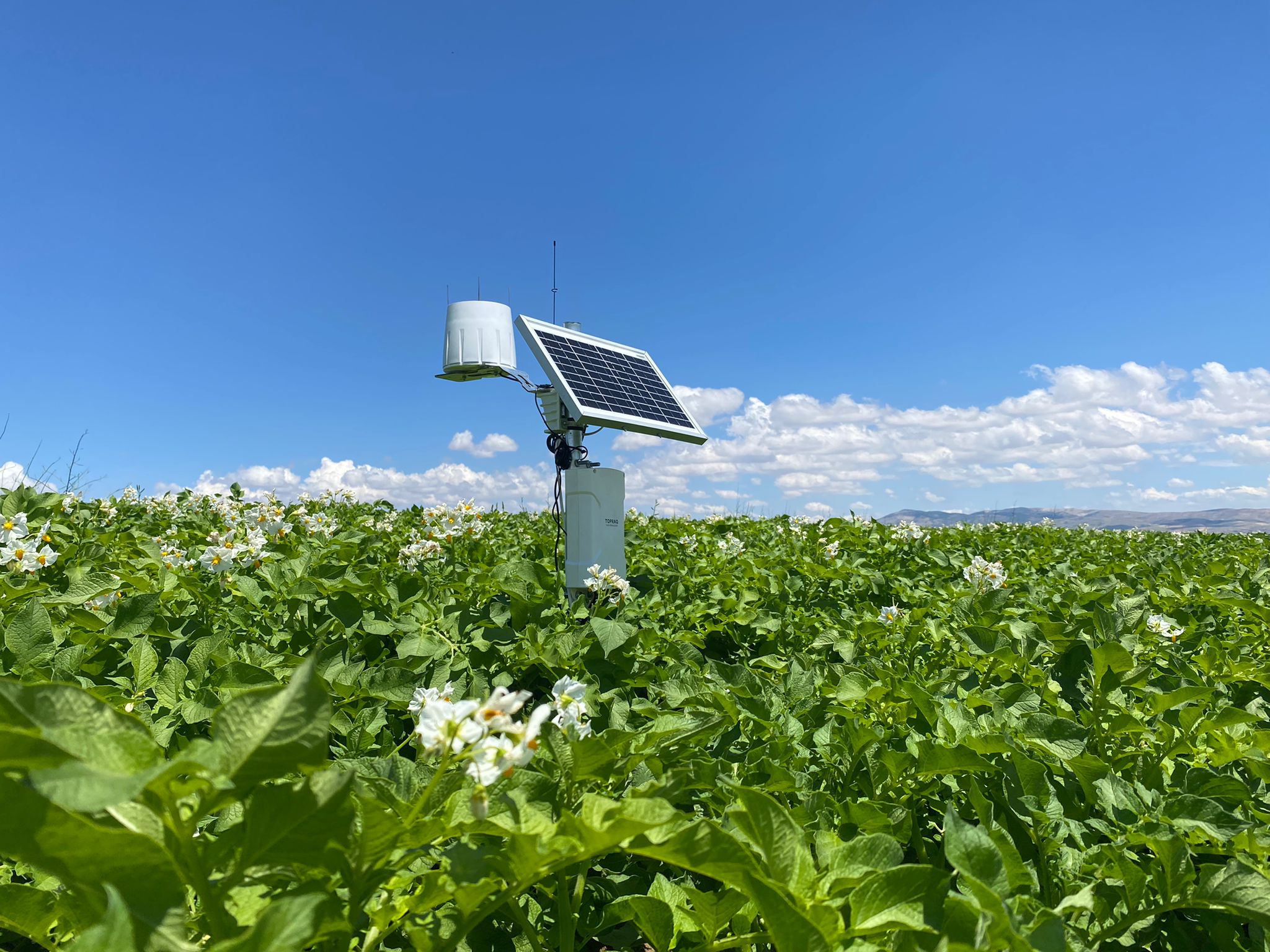 The future of farming. How will technology change agriculture?