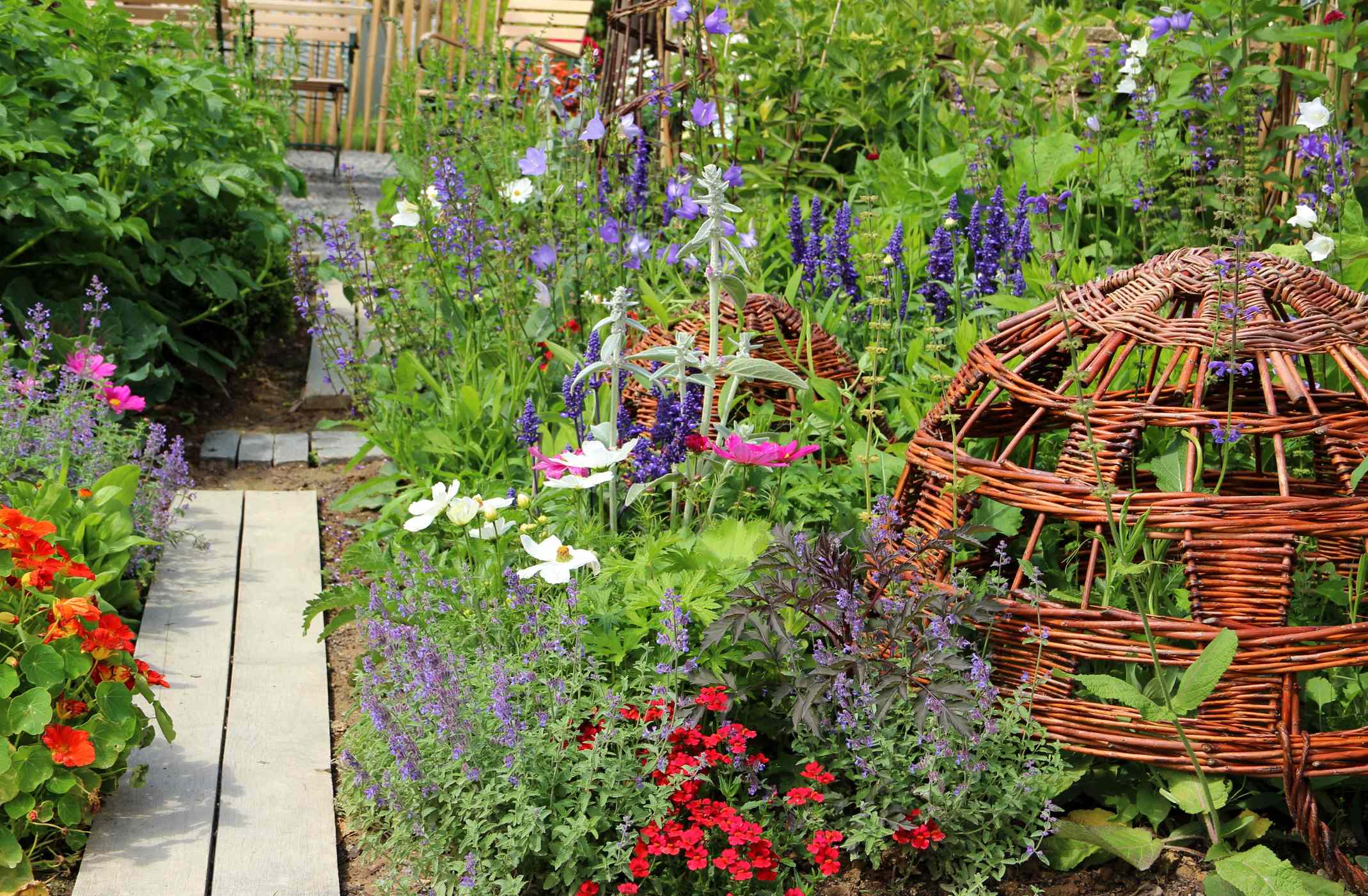 8 backyard trends you’ll see everywhere in 2026, garden pros say
