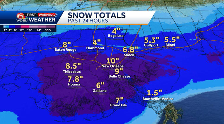 One year ago a blizzard blanketed New Orleans. Here's how much snow ...