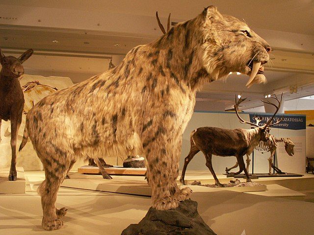 30+ animals that vanished from Earth