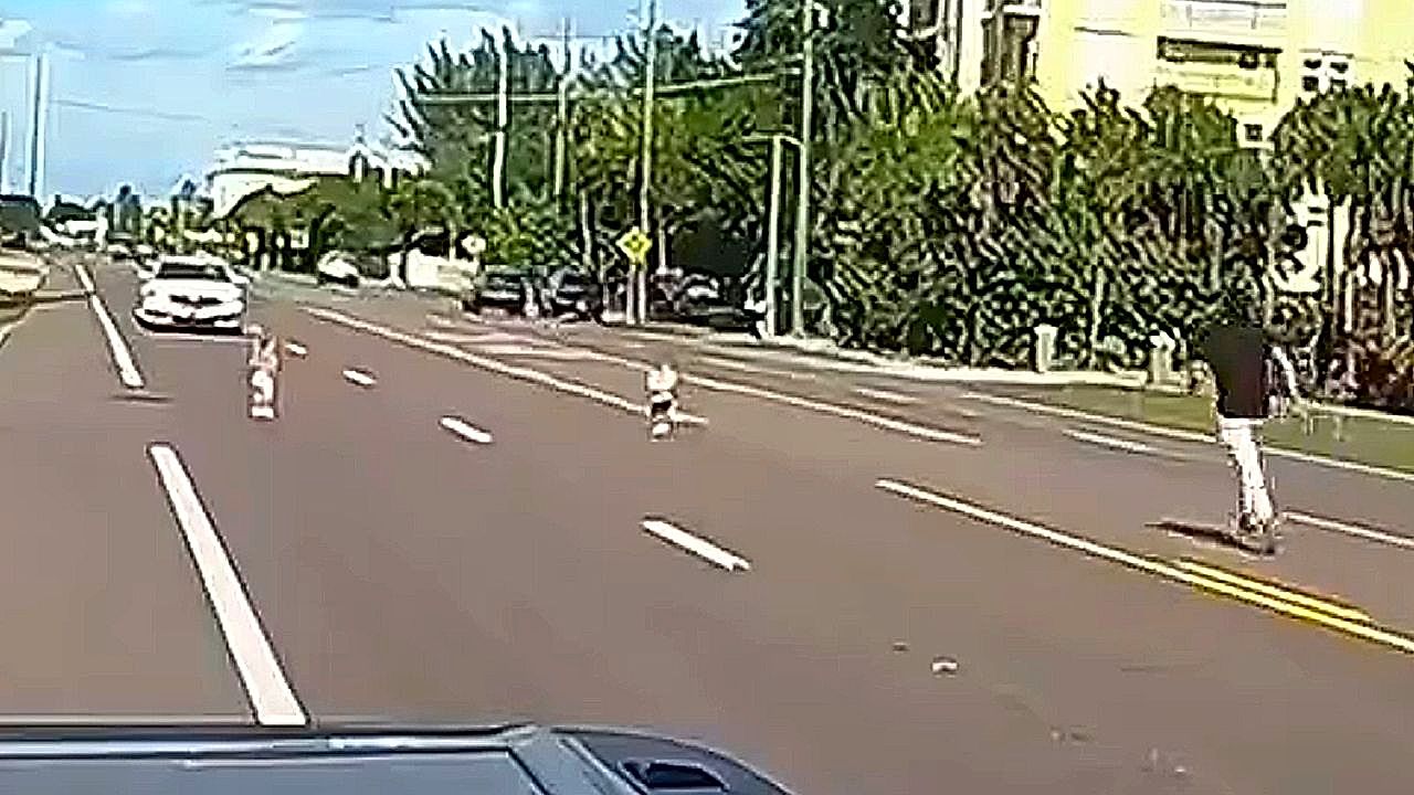 Driver rushes into traffic to save toddlers spotted alone on highway