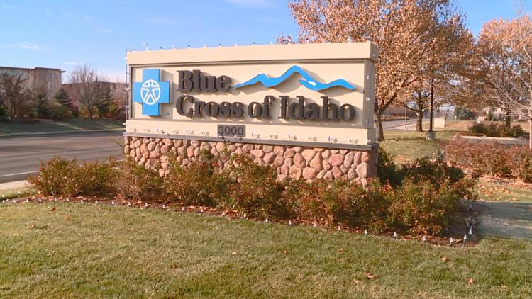 Dozens let go from Blue Cross of Idaho amid 'organizational changes'